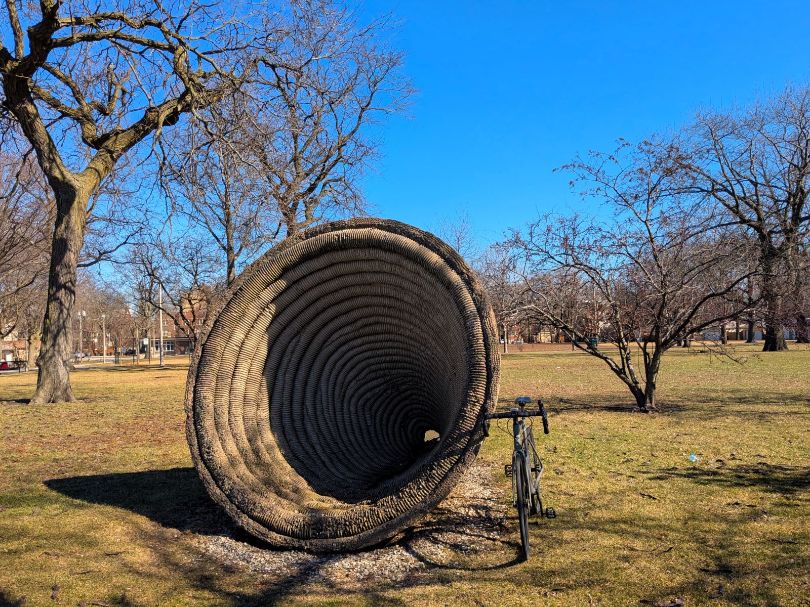 The Receptor (Tamsie Ringler, 2005) 3/9/26 – Chicago Bike Adventures